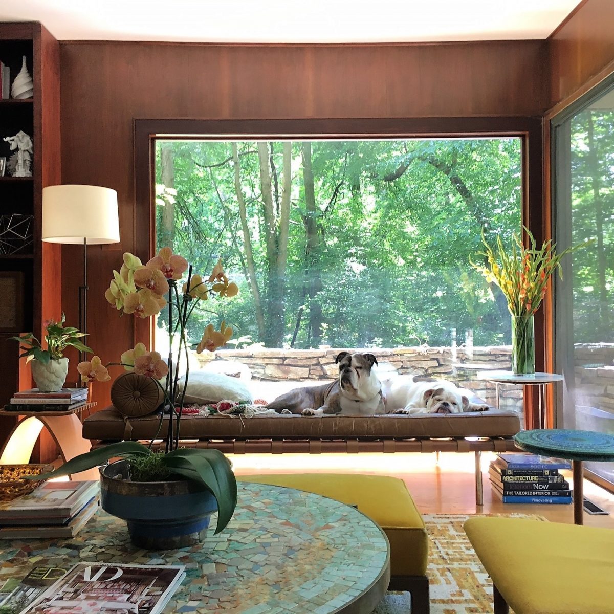 What Color Shall I Paint The Exterior of my 1959 House? - Mid Century Home