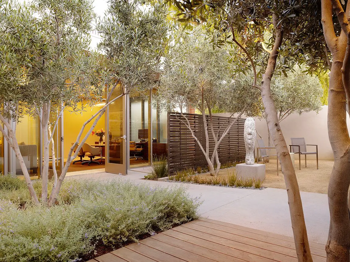 A Modern Courtyard for a Midcentury Office - Mid Century Home