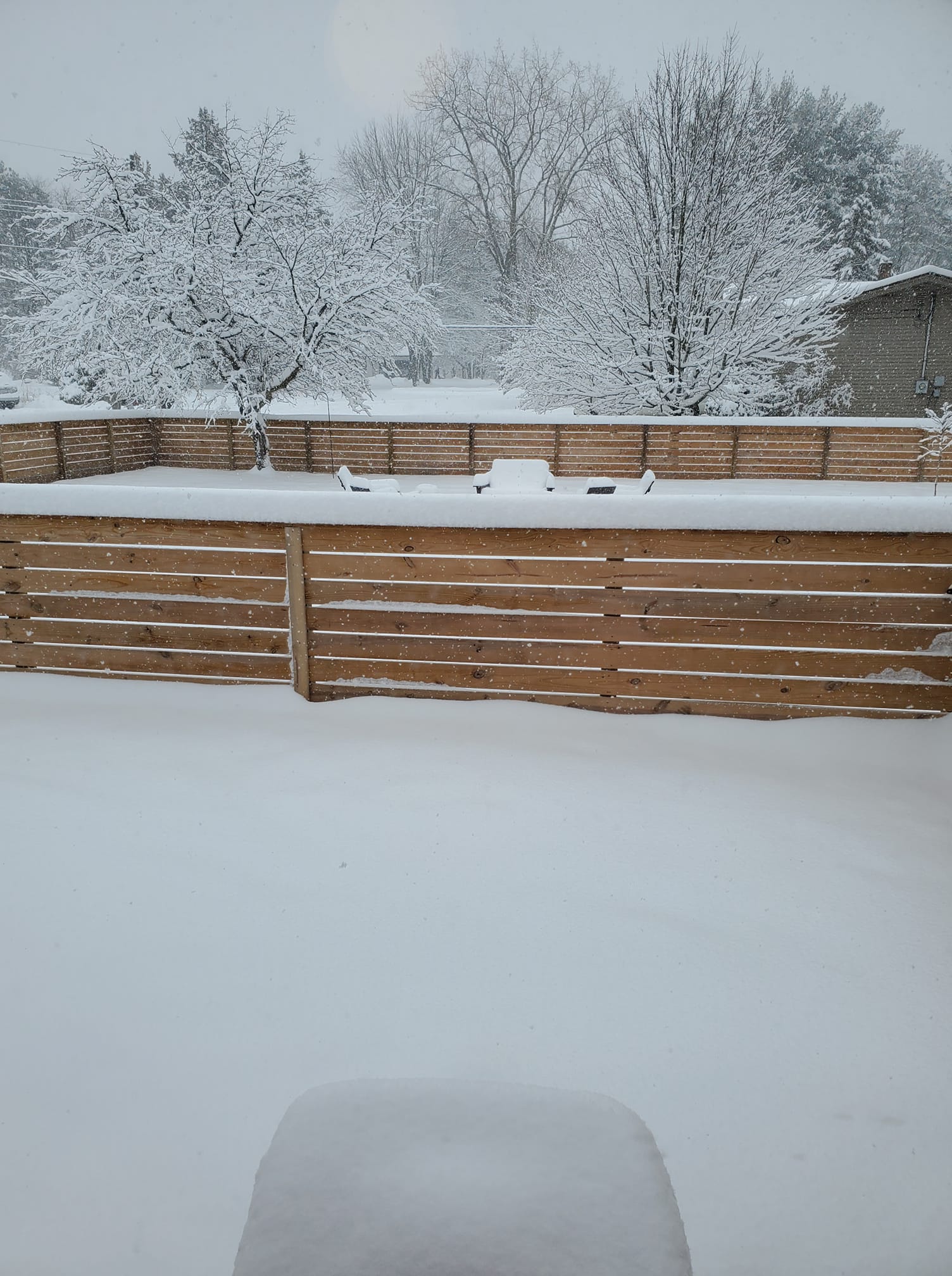 "Would you consider this a midcentury fence?" - Mid Century Home