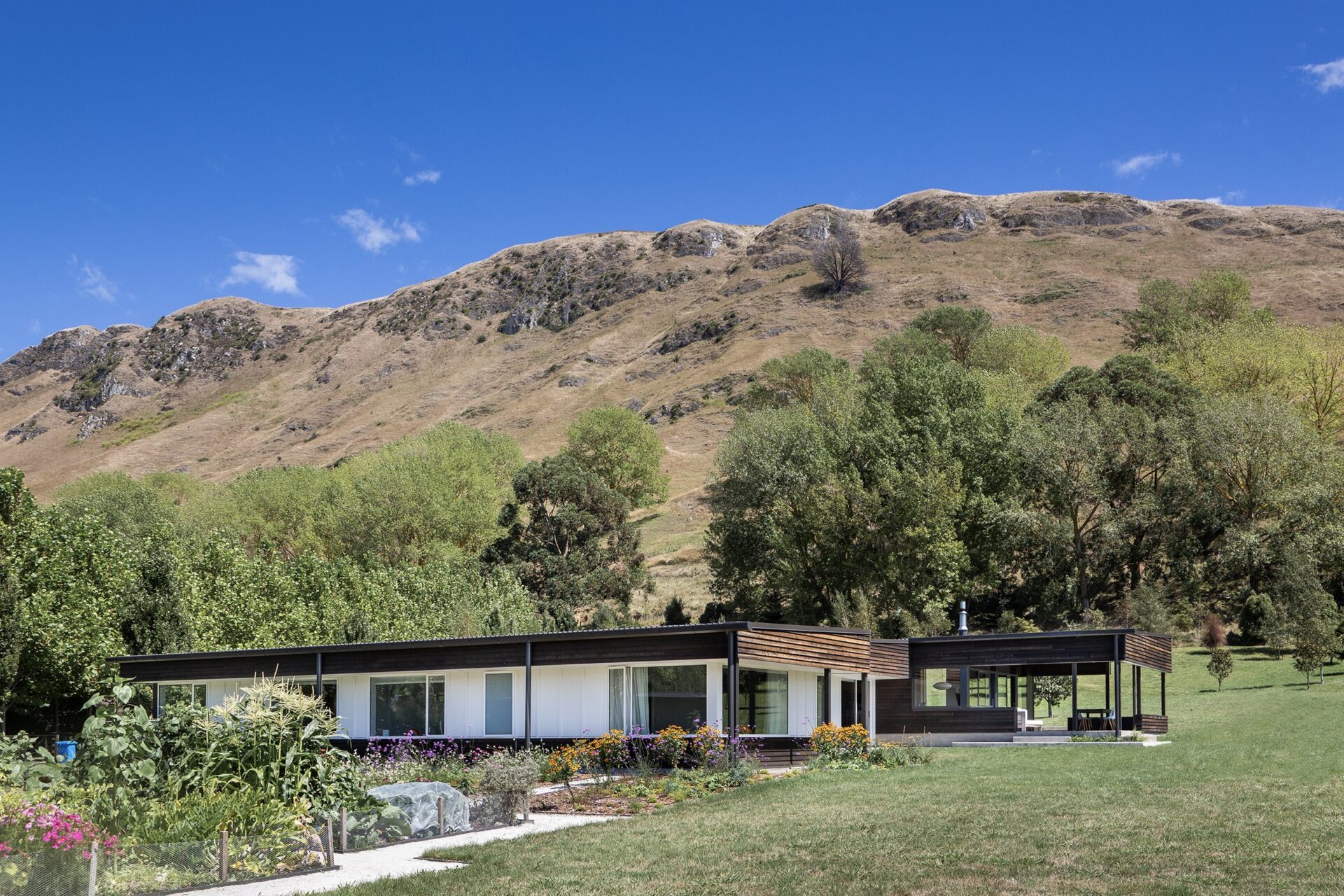 A Modern Home Seamlessly Integrated with Nature's Beauty - Mid Century Home